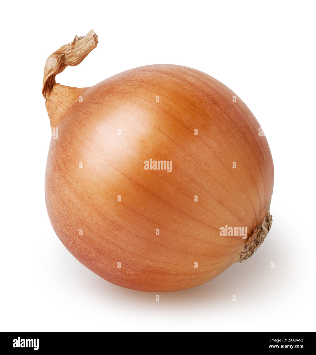 Bulb of onion isolated on white background with clipping path Stock ...