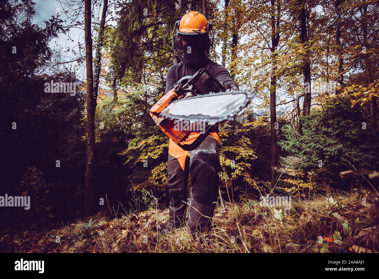 woodcutter man in the forest - the woodcutter serie Stock Photo - Alamy