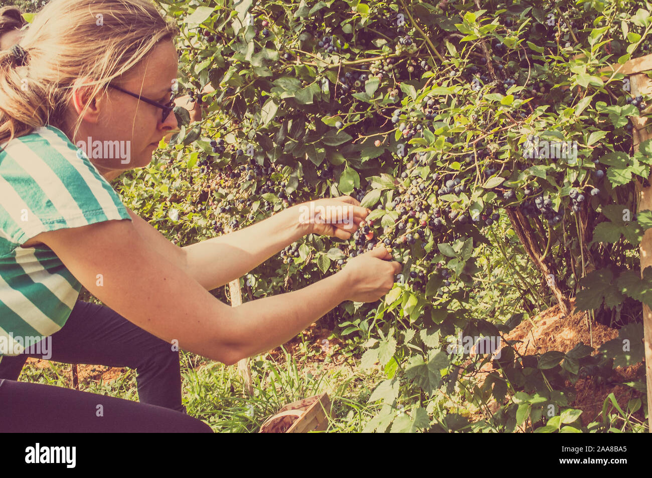 Big bush woman hi-res stock photography and images - Alamy