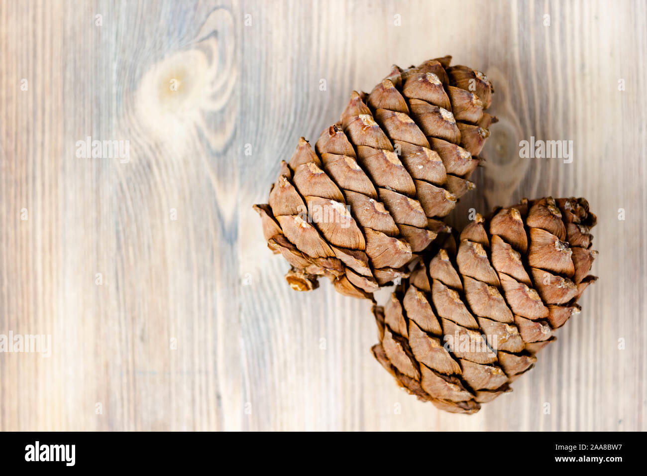 Pine cones on natural light whitewashed wooden background. The concept ...