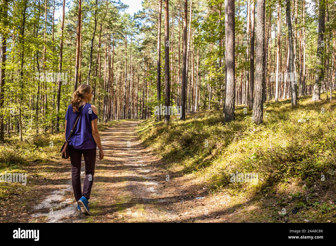 Young attractive woman walking through forest Stock Photo - Alamy