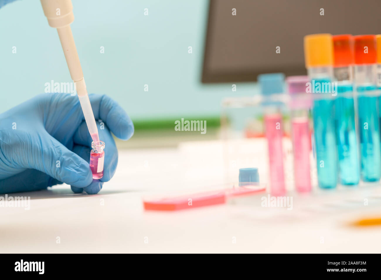 Scientific experiment in microbiological lab. Microscope and test tube ...