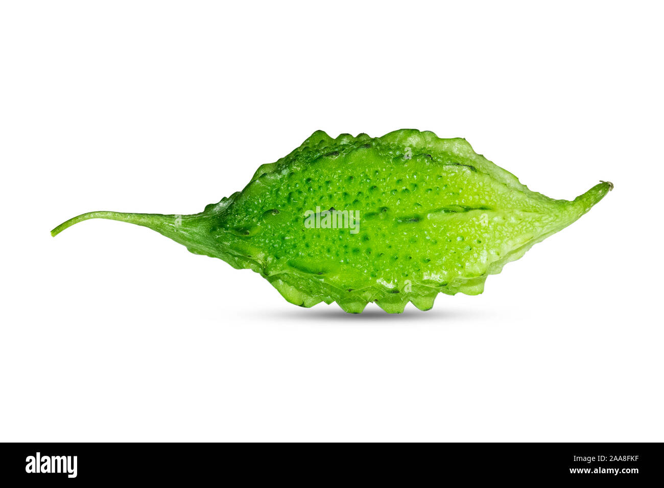 Fresh bitter gourd isolated on white background Stock Photo - Alamy