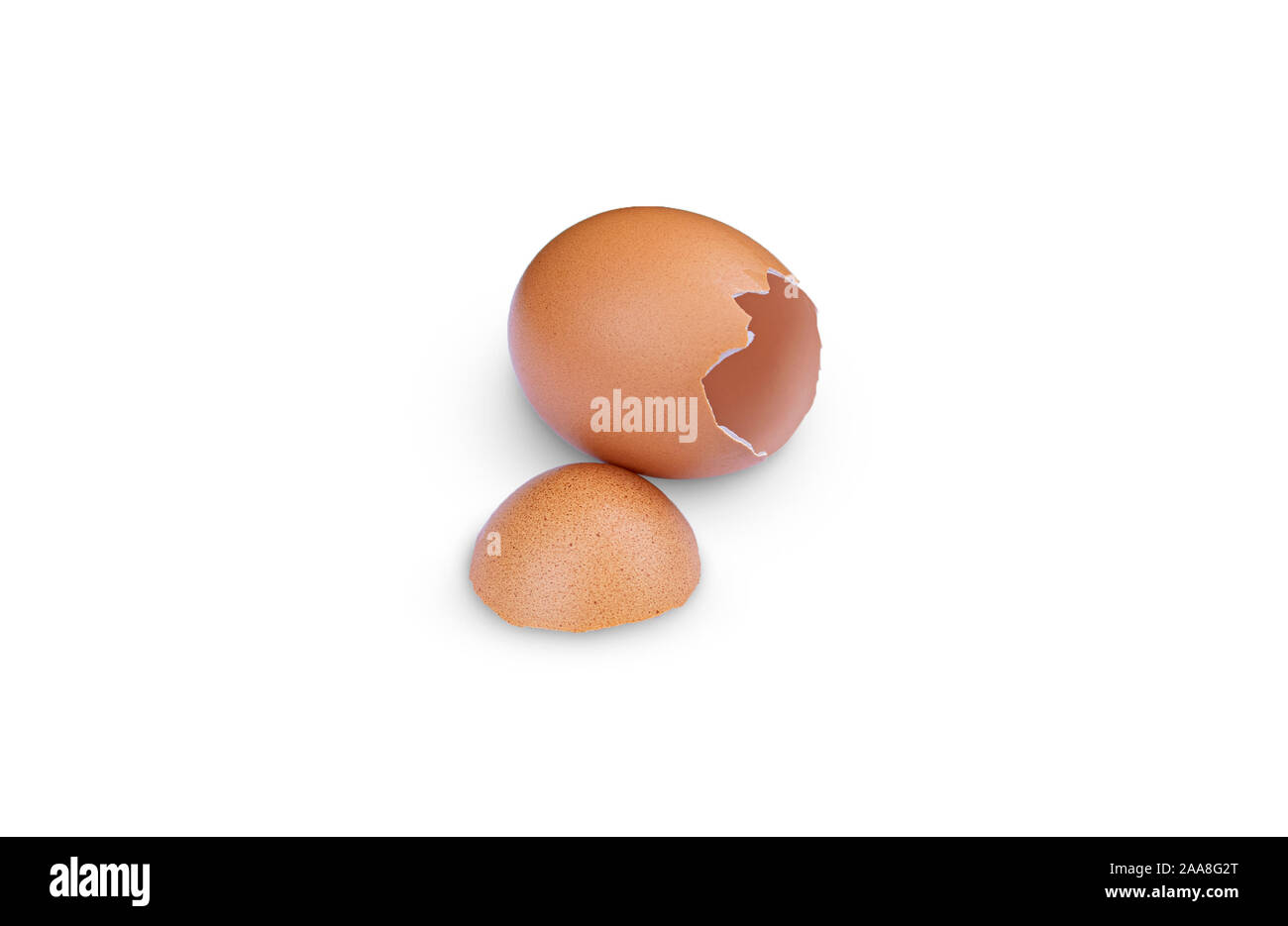 Chicken eggs and egg shell closeup isolated on white background Stock ...