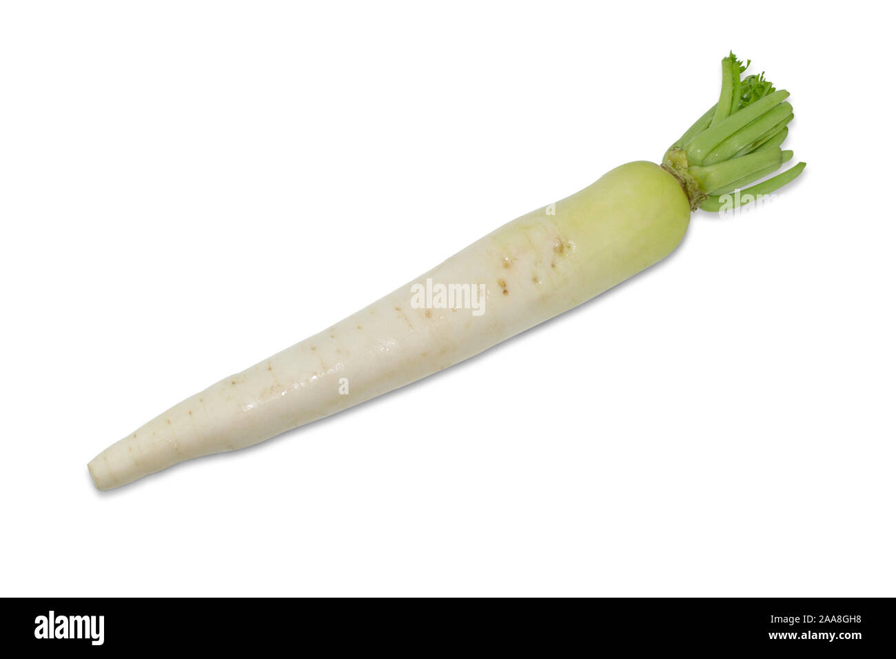 Fresh long radishes on hi-res stock photography and images - Alamy