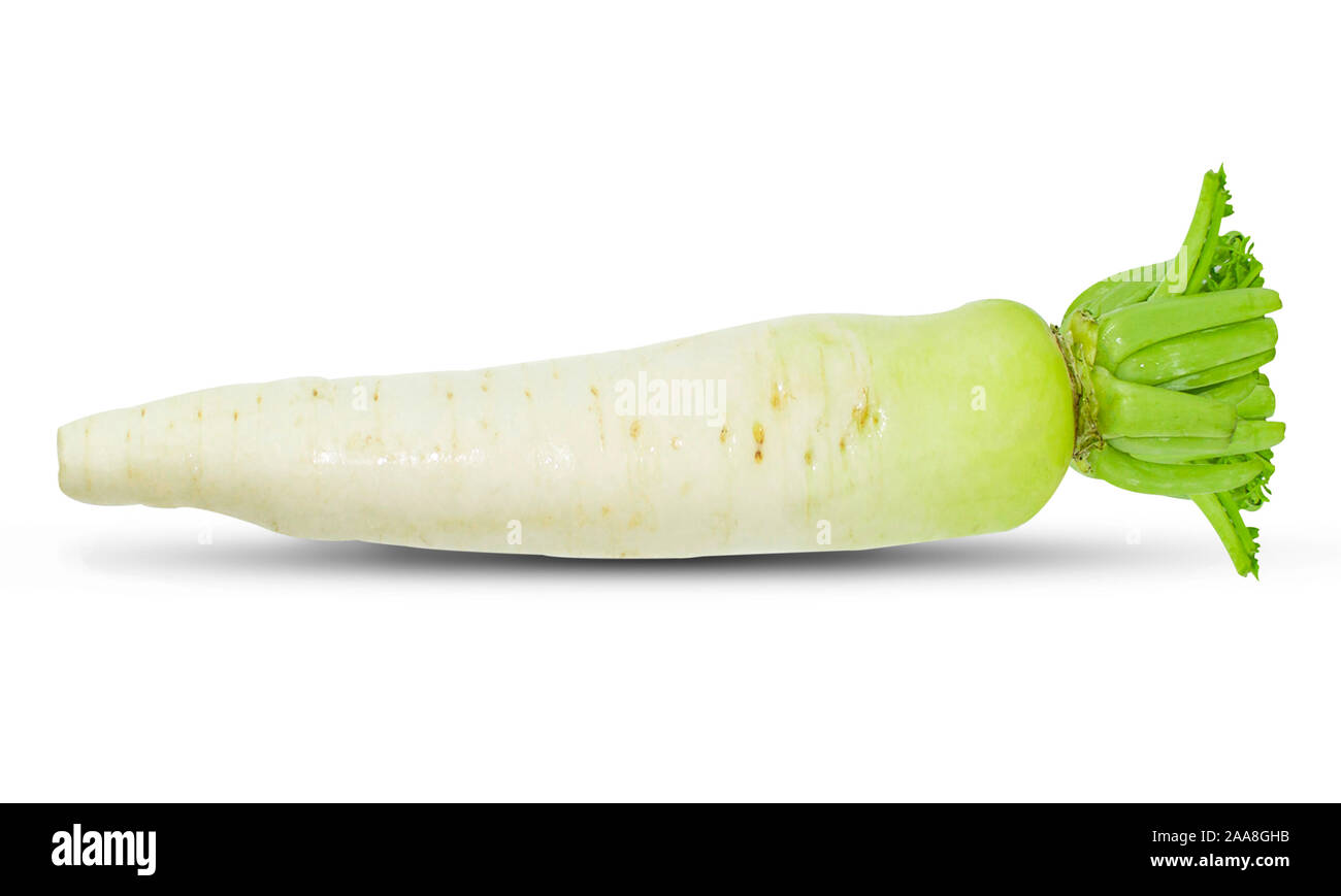 Fresh white radish hi-res stock photography and images - Alamy