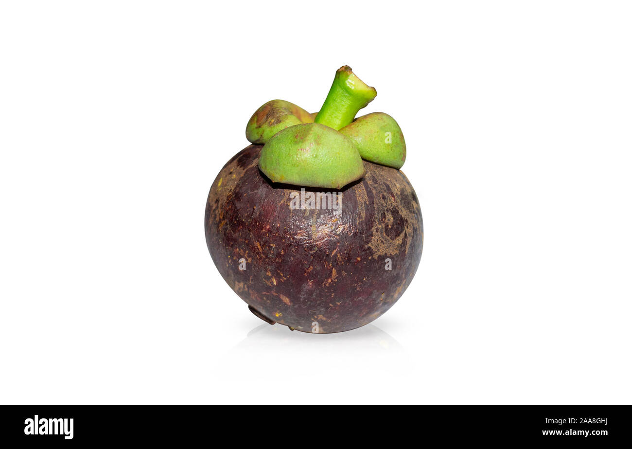 single mangosteen on white background Stock Photo - Alamy