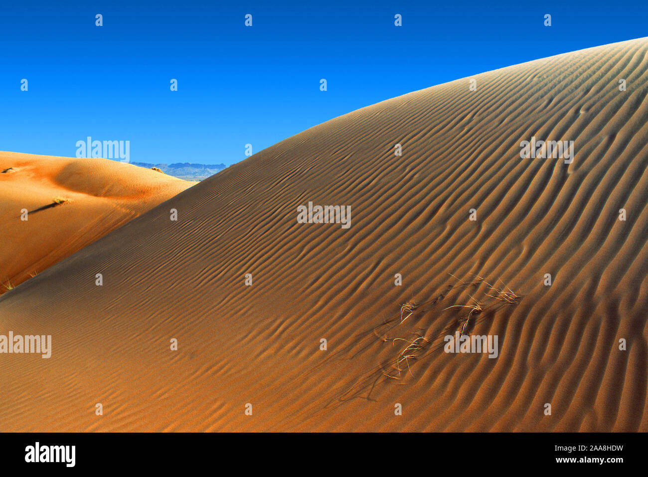 Sand-dunes in the desert of Oman near the border with Saudi Arabia ...