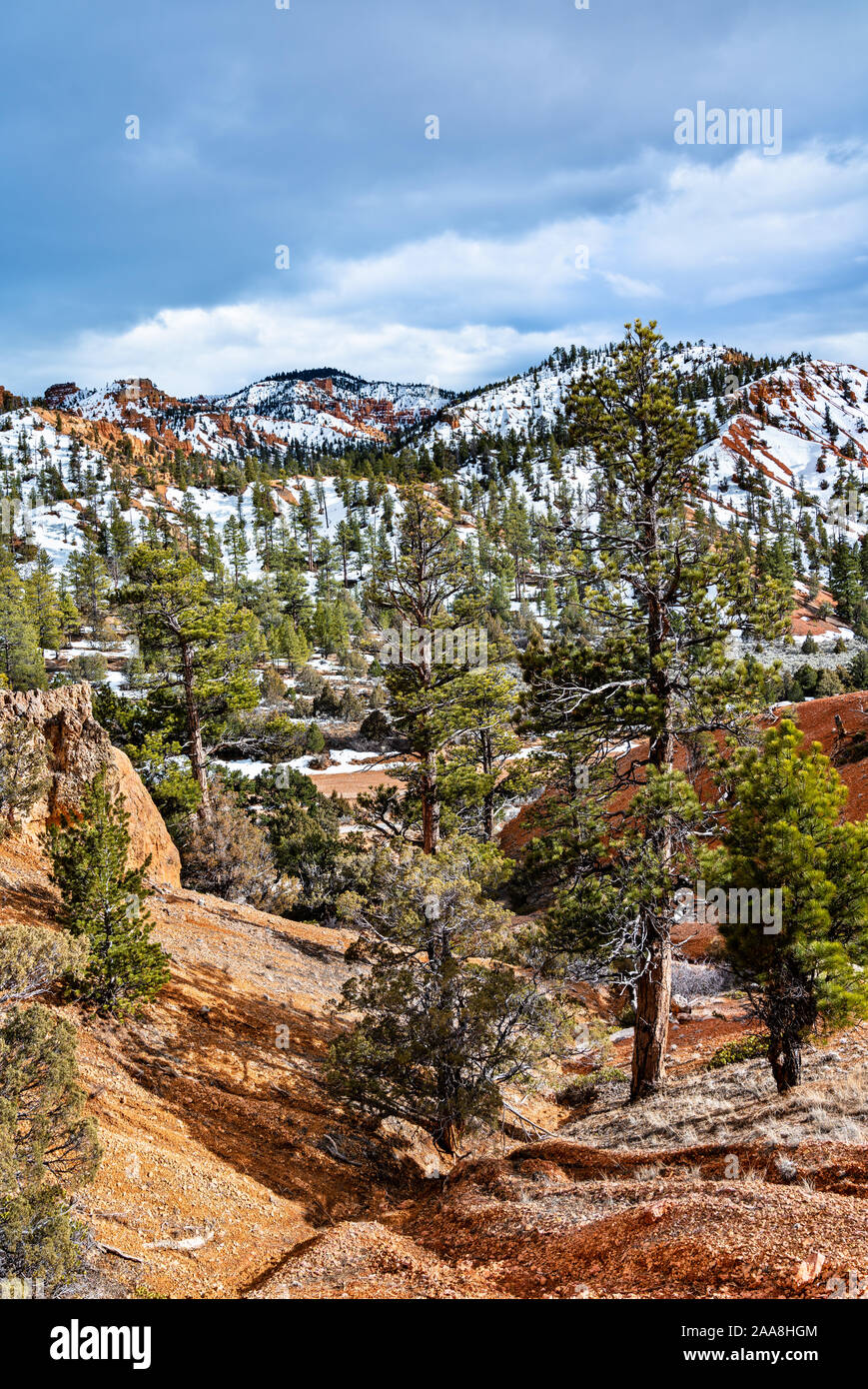 View of the Red Canyon in Utah, the USA Stock Photo - Alamy