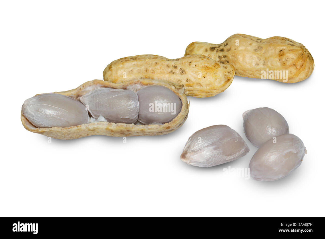 Boiled peanut on white background Stock Photo - Alamy