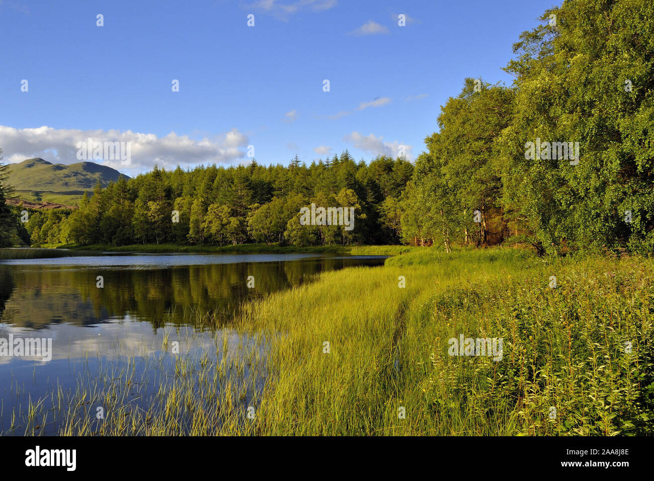 Lush green springtime greenery along the shores of Loch Lubhair, Glen ...