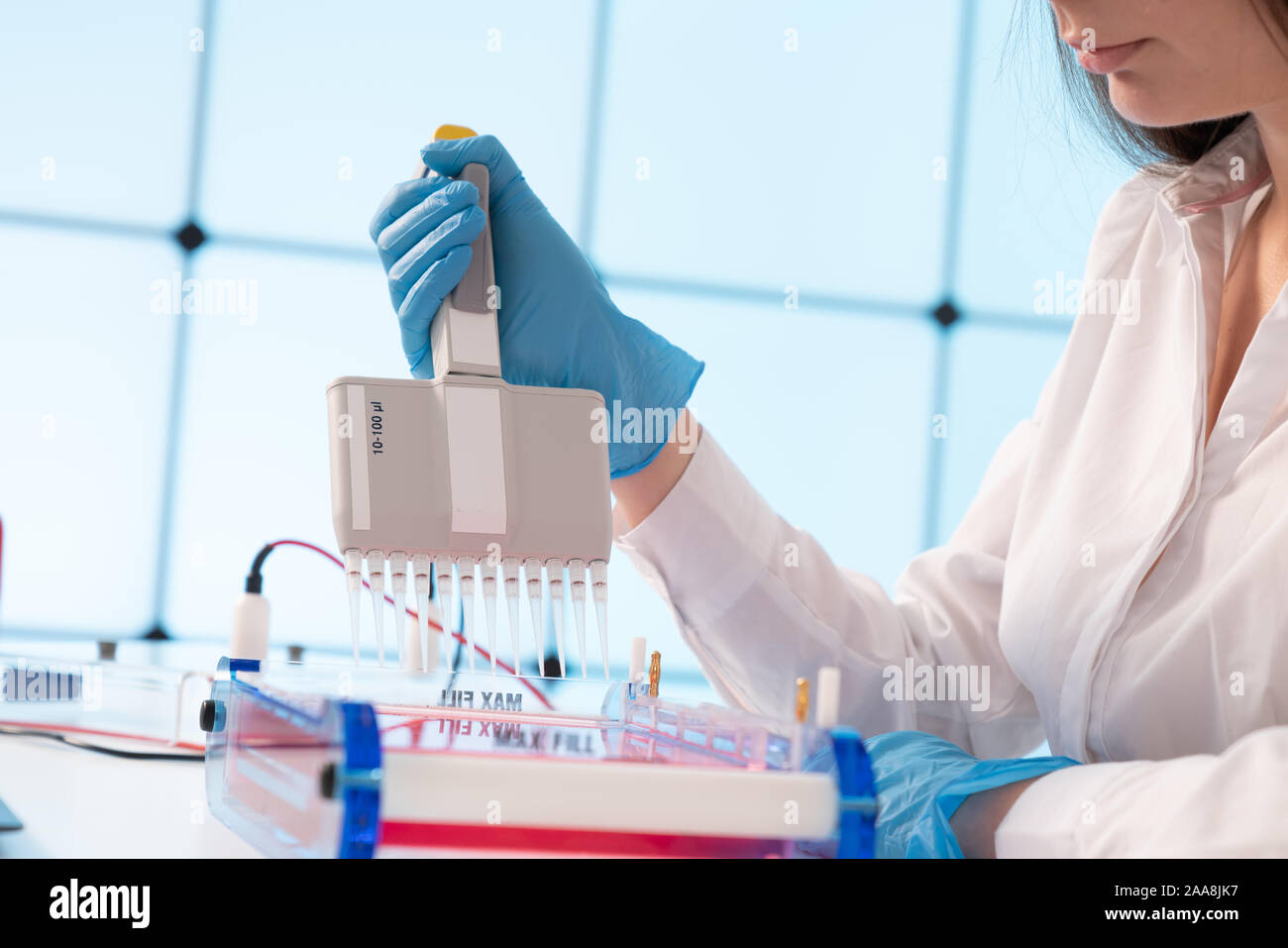 Loading Samples and Running an Agarose Gel for electrophoresis, Gel ...