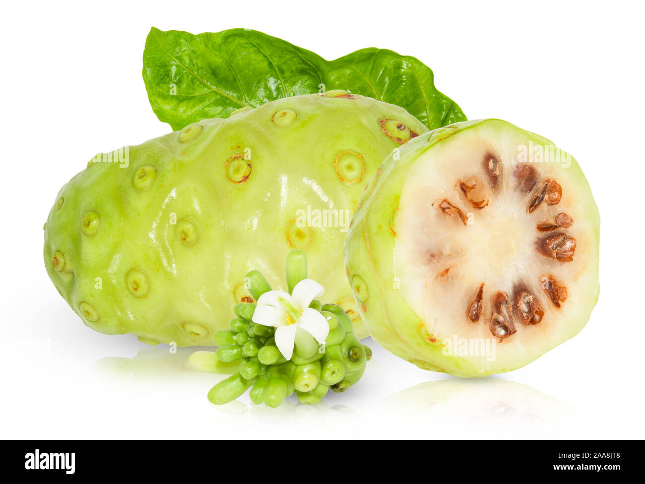 noni or Morinda Citrifolia and slice isolated on white background Stock ...