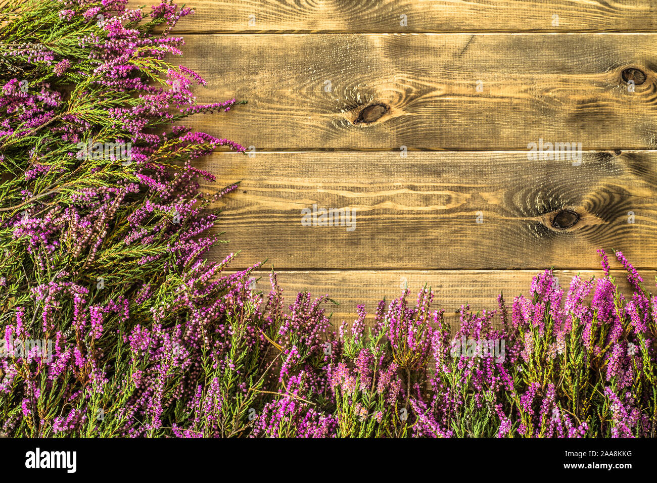 Heather flowers, autumn background, floral frame Stock Photo - Alamy
