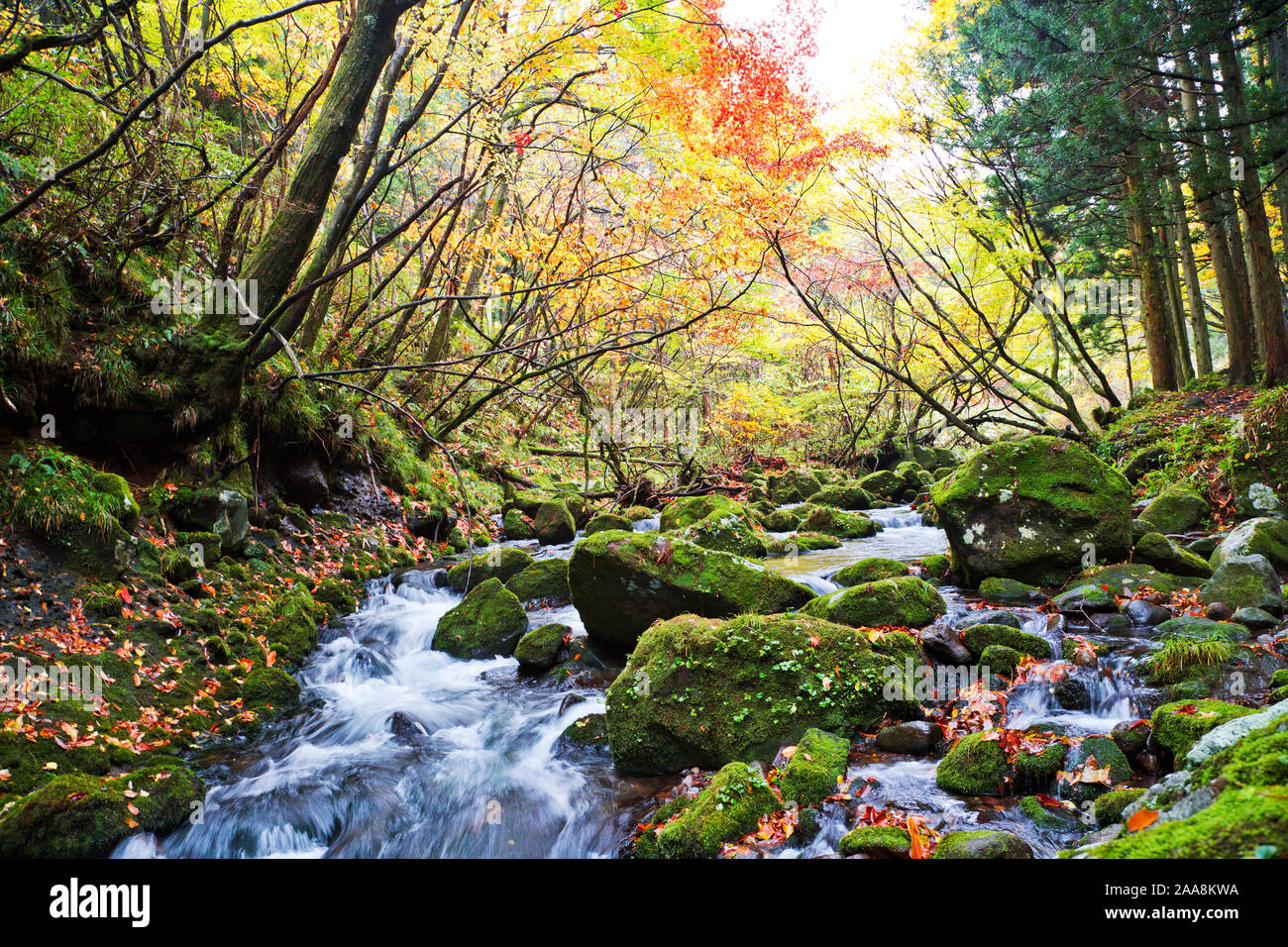 Mototaki Waterfall at autumn in Akita prefecture, Tohoku, Japan Stock ...