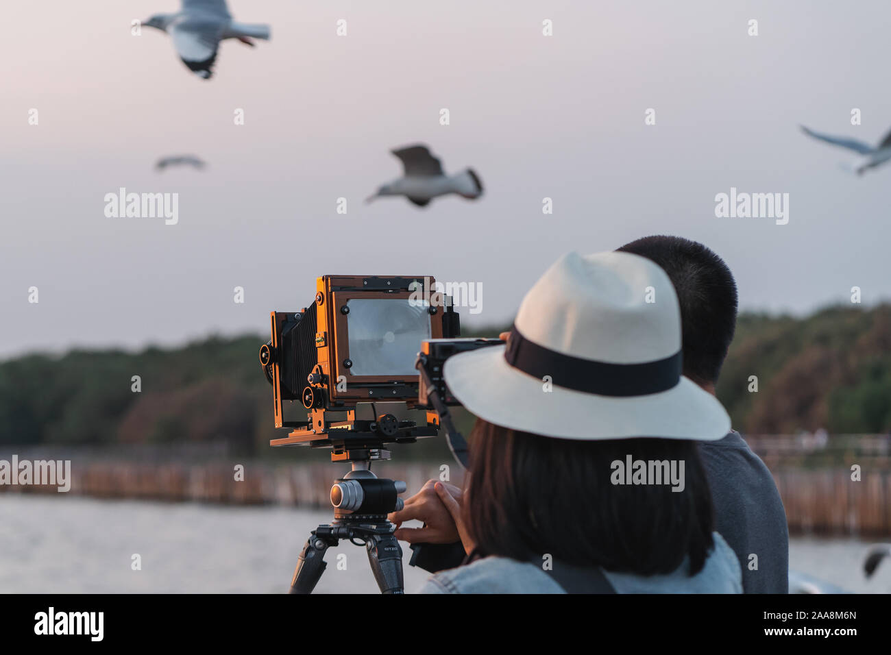 Take the bird Stock Photo - Alamy