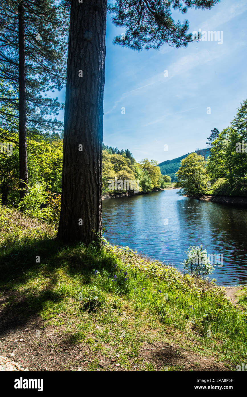 into the Derwent Stock Photo - Alamy