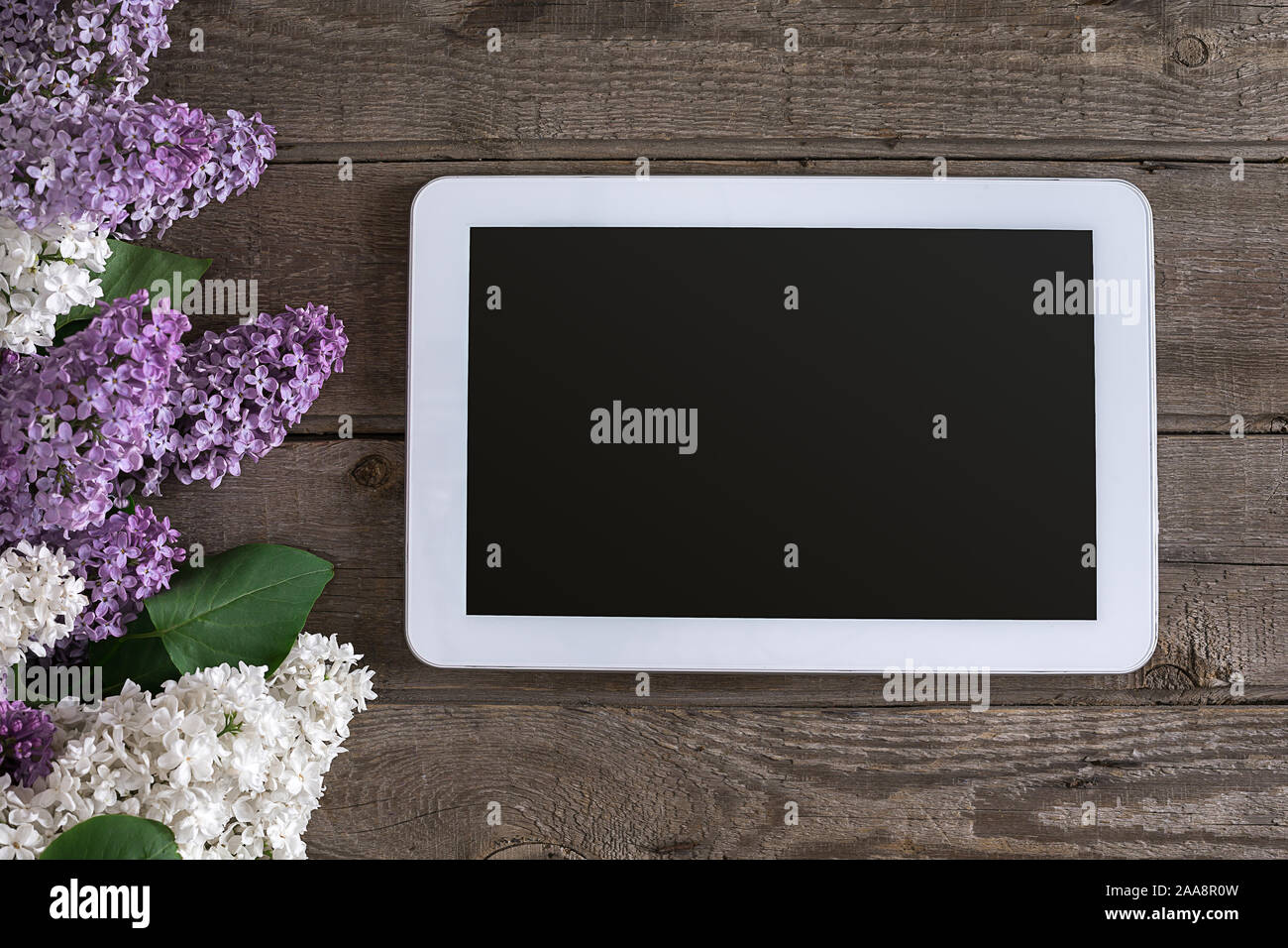Lilac blossom on rustic wooden background, tablet with empty space for ...