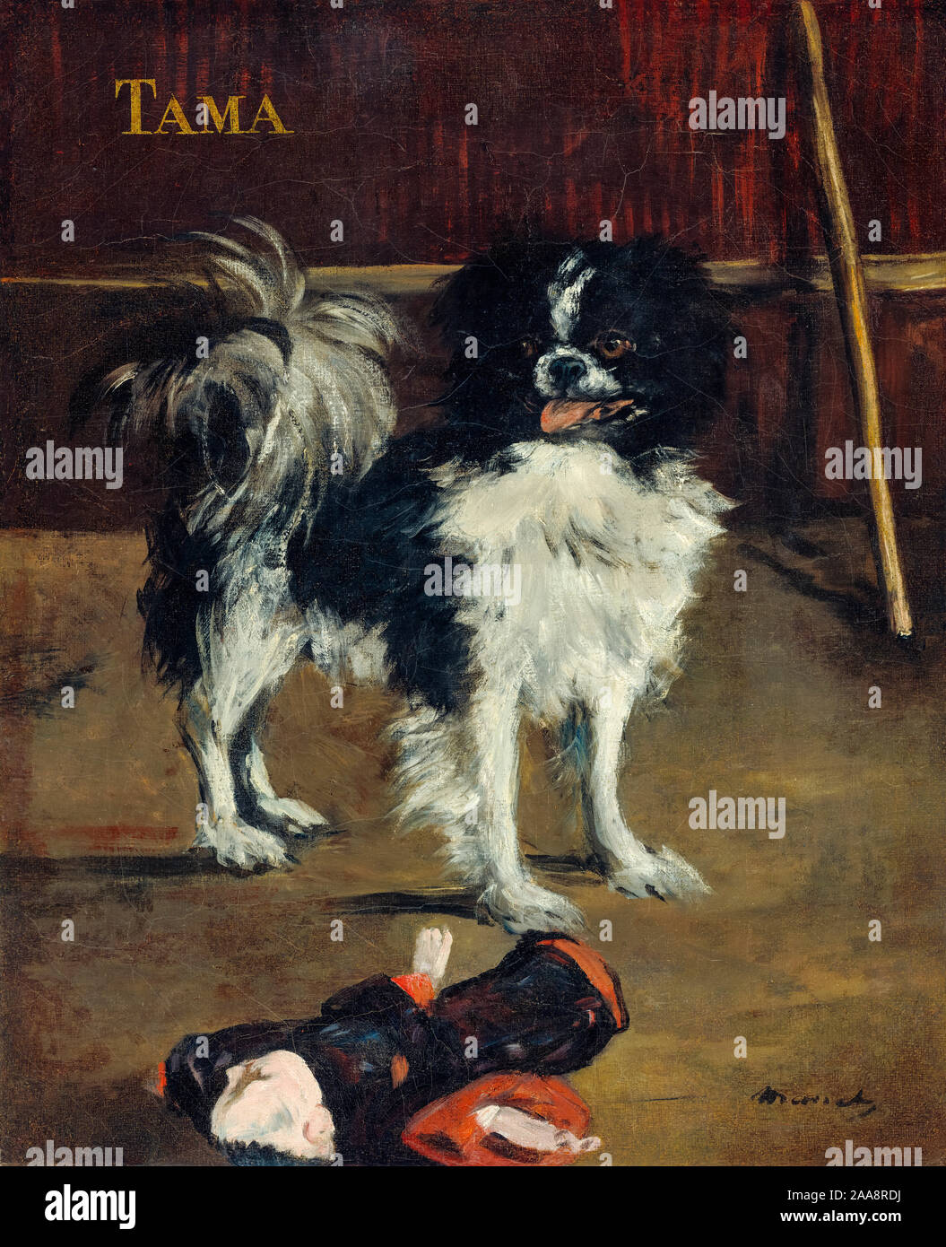 Edouard Manet, Tama the Japanese Dog, painting, 1875 Stock Photo - Alamy