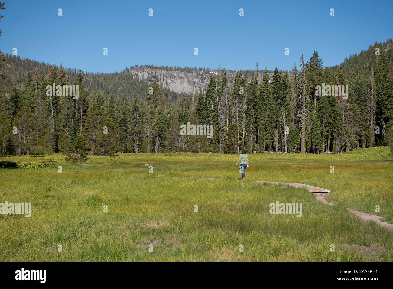 Woman walking on boardwalk through big green grass valley Stock Photo ...