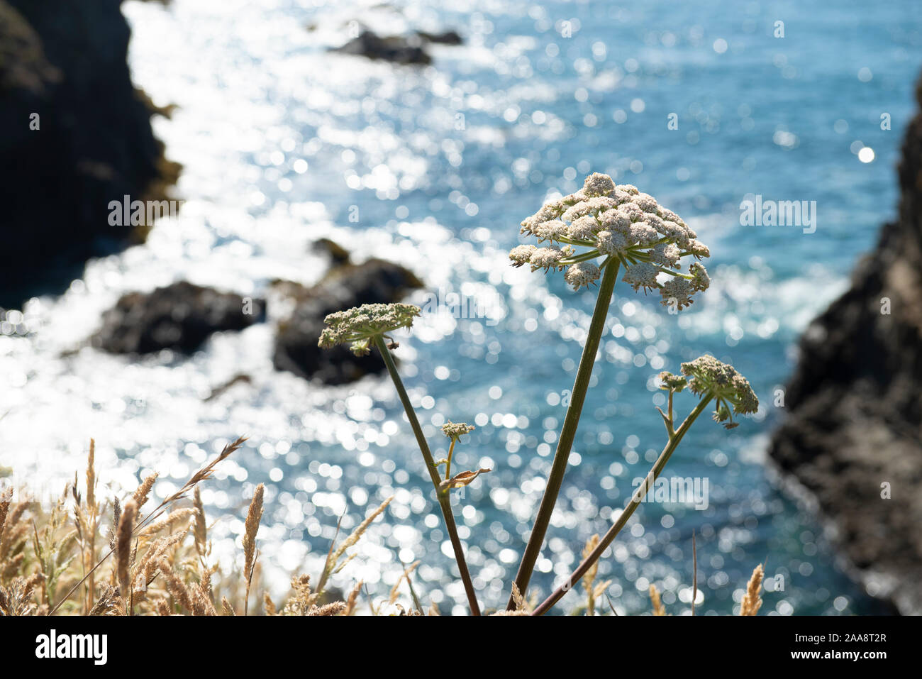 Fort bragg family hi-res stock photography and images - Alamy