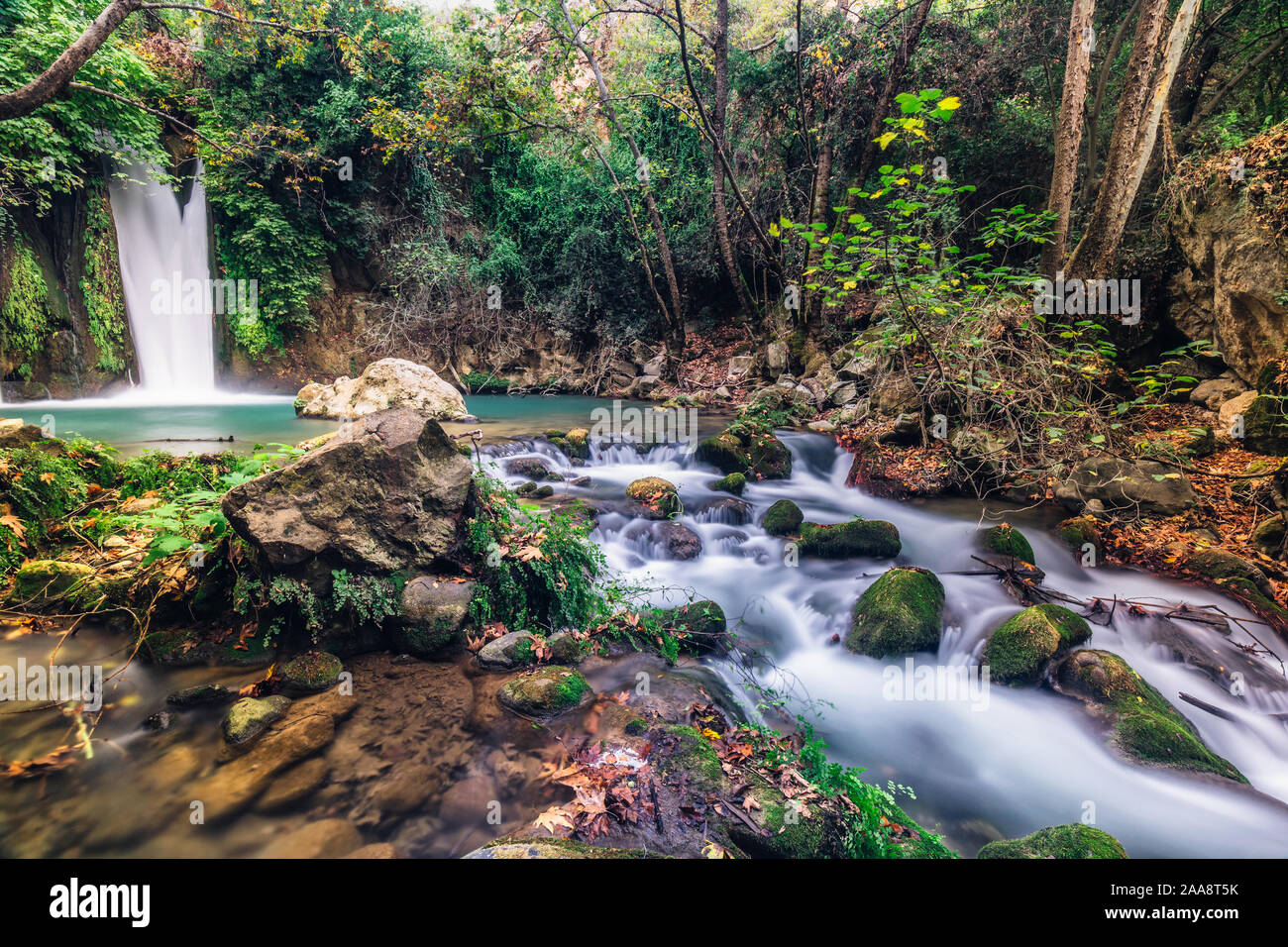 Banias national park hi-res stock photography and images - Alamy
