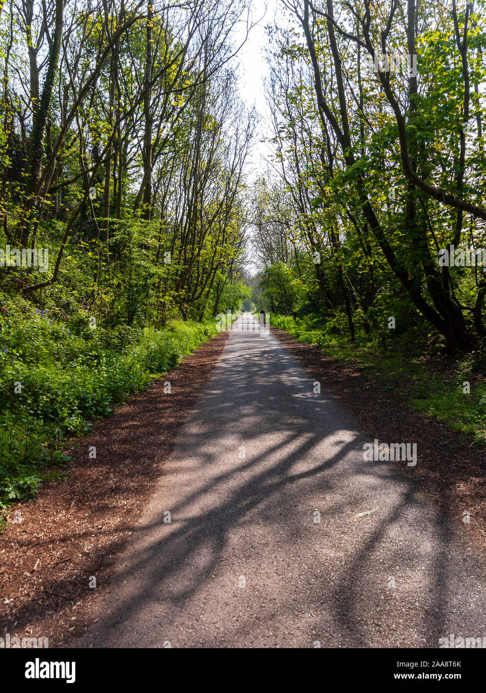 Cyclist railway hi-res stock photography and images - Alamy
