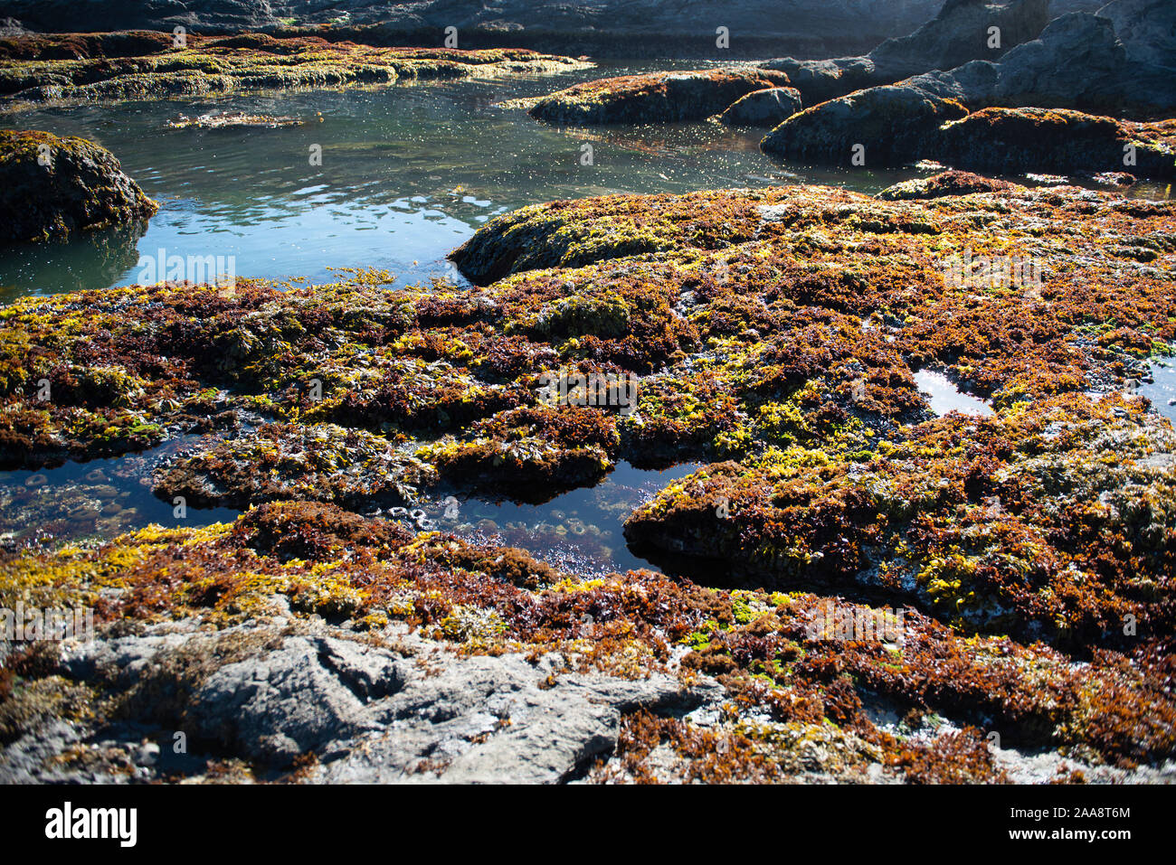Rocky pools hi-res stock photography and images - Alamy