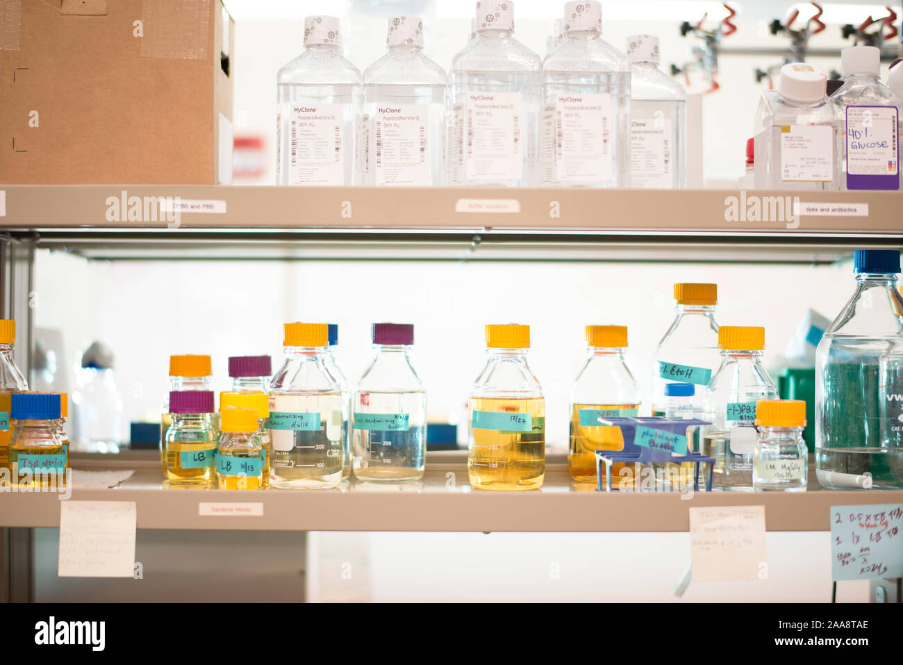 Glass bottles in laboratory hi-res stock photography and images - Alamy