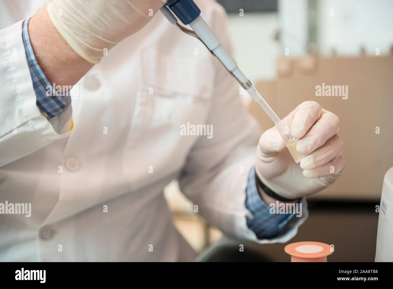Scientist using pipette to put yellow liquid in a vile Stock Photo - Alamy