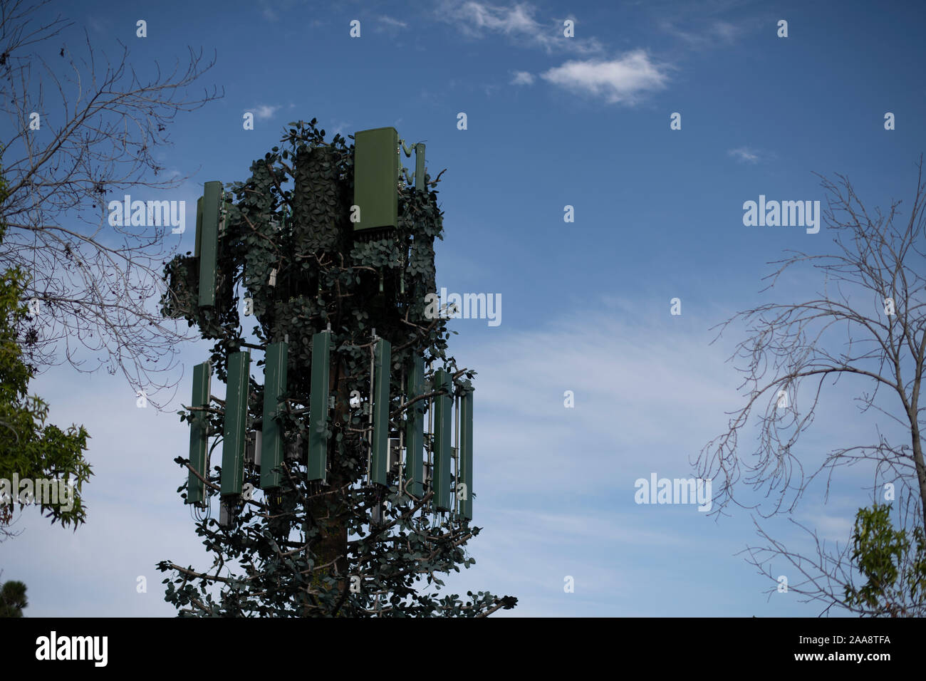 Cellphone tower disguised in green camouflage Stock Photo - Alamy