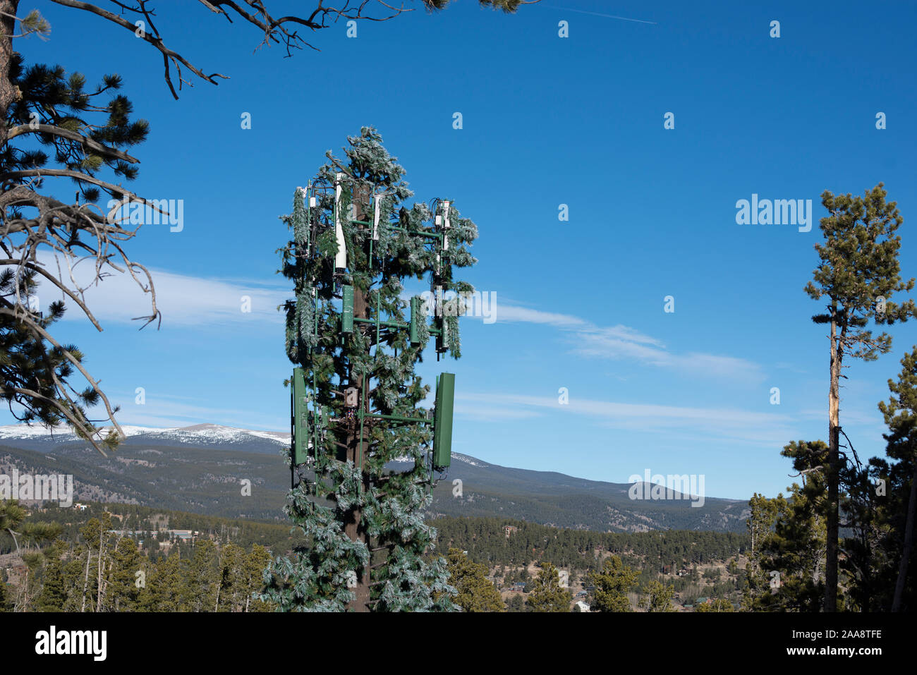 Mobile phone tree tower in the mountains Stock Photo - Alamy