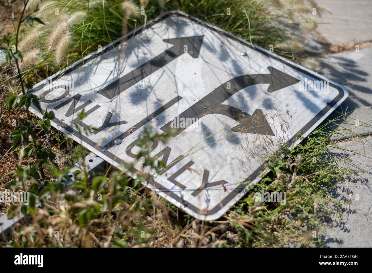 Directional sign on the ground of the sidewalk with overgrown grasses ...
