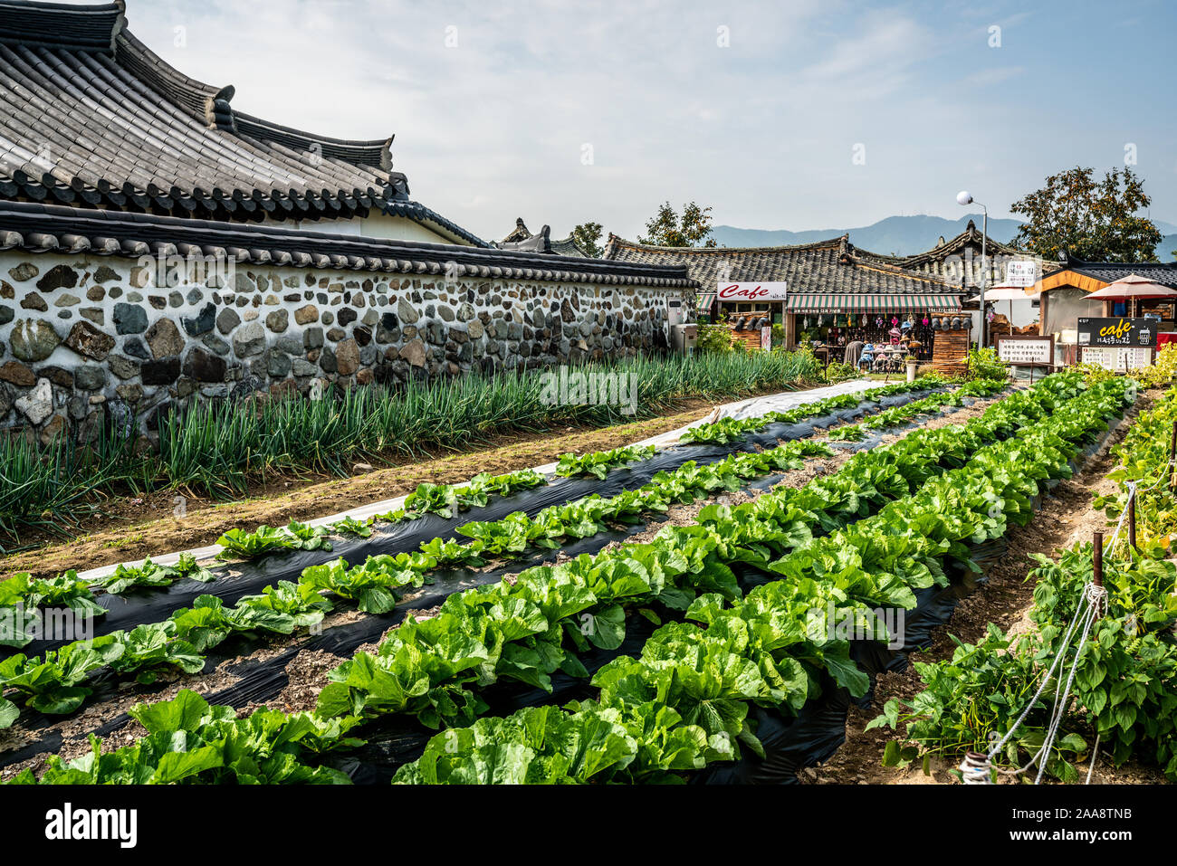 Traditional hanok village hi-res stock photography and images - Alamy