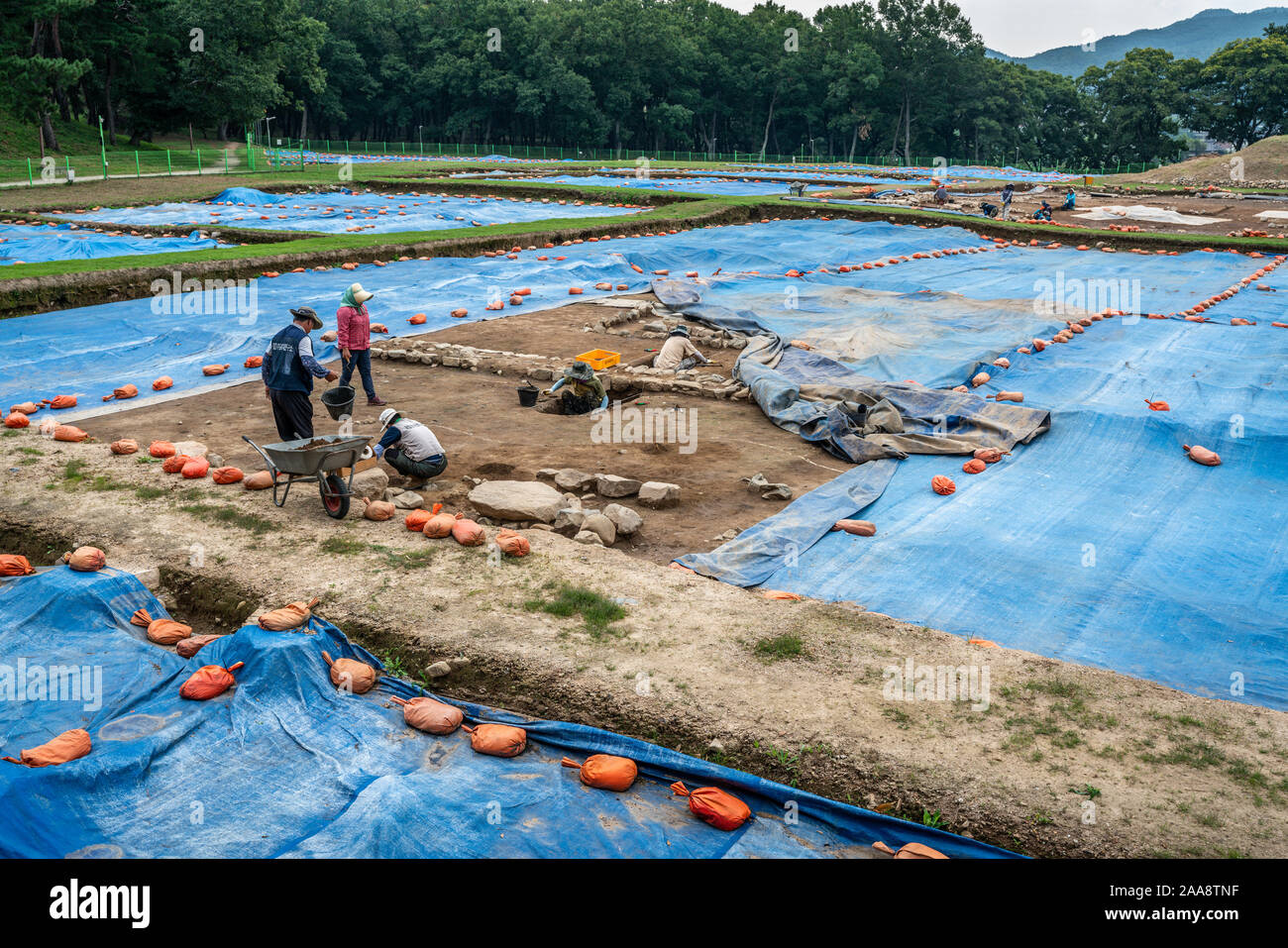 Archaeologist dig hi-res stock photography and images - Alamy