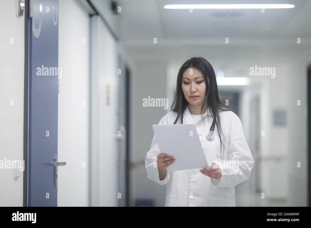 Checking paper hi-res stock photography and images - Alamy