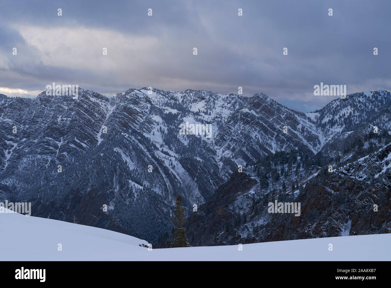 Uinta wasatch cache national forest hi-res stock photography and images ...