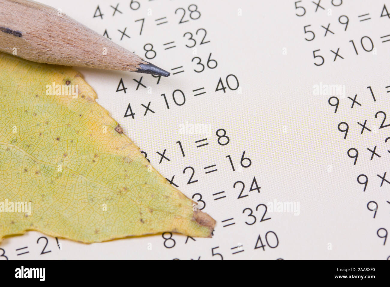 multiplication table, yellow autumn leaves and pencil Stock Photo - Alamy