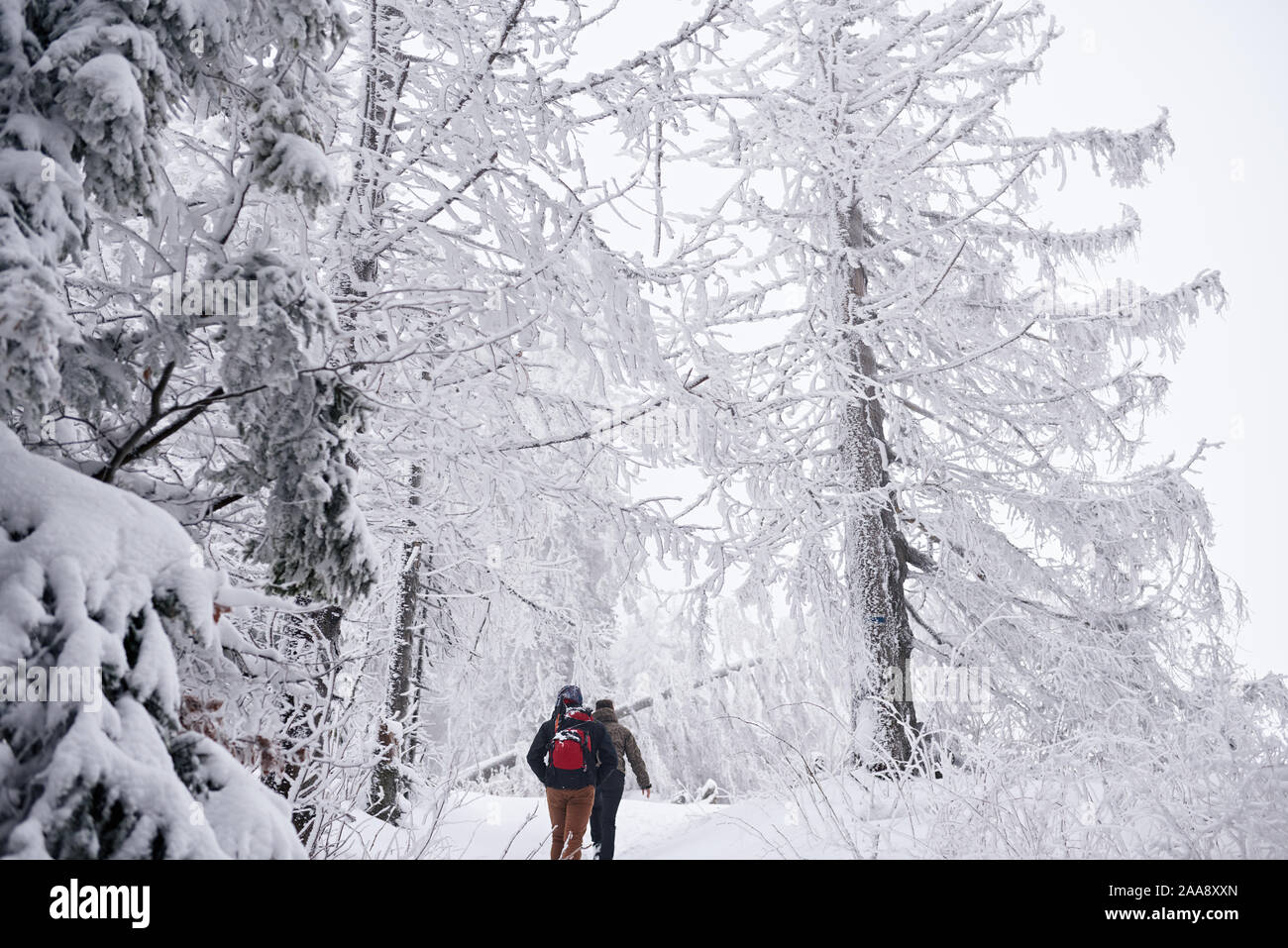 Wintertime hiking hobby hi-res stock photography and images - Alamy