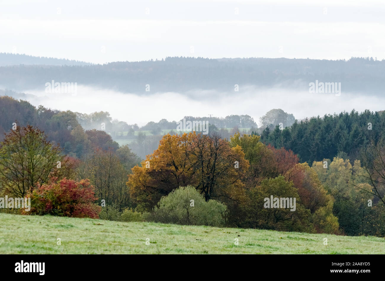 Autumn season colours in the countryside in Germany, Western Europe ...