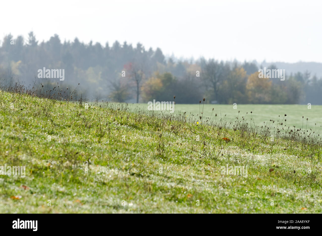 Autumn season colours in the countryside in Germany, Western Europe ...