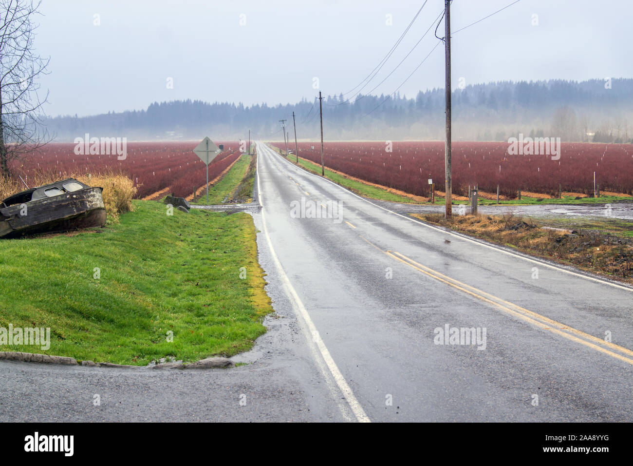 Rural road running through farmland Stock Photo - Alamy