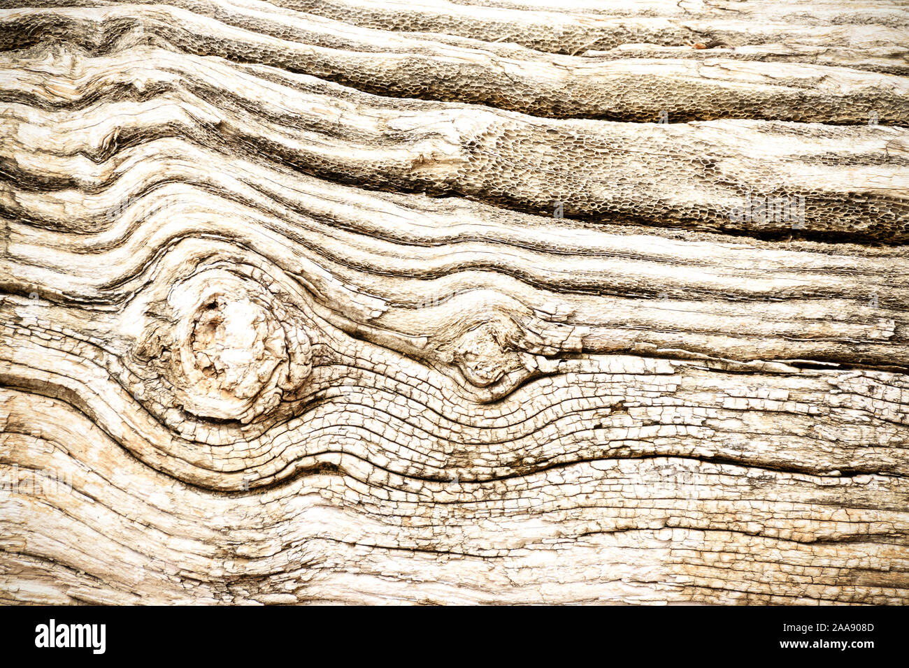 Distorted tree image hi-res stock photography and images - Alamy