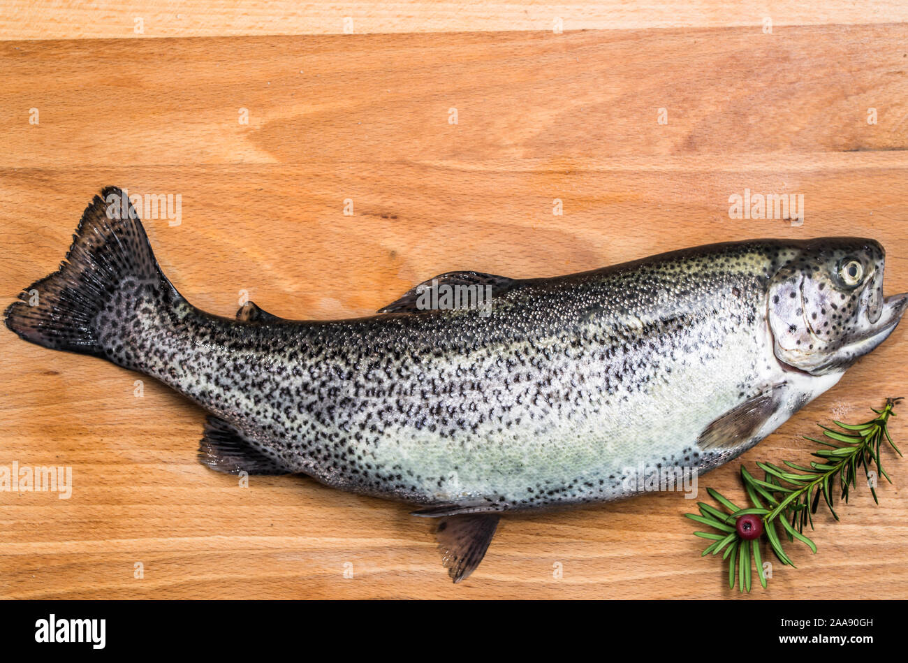 Raw trout freshwater fish hi-res stock photography and images - Alamy