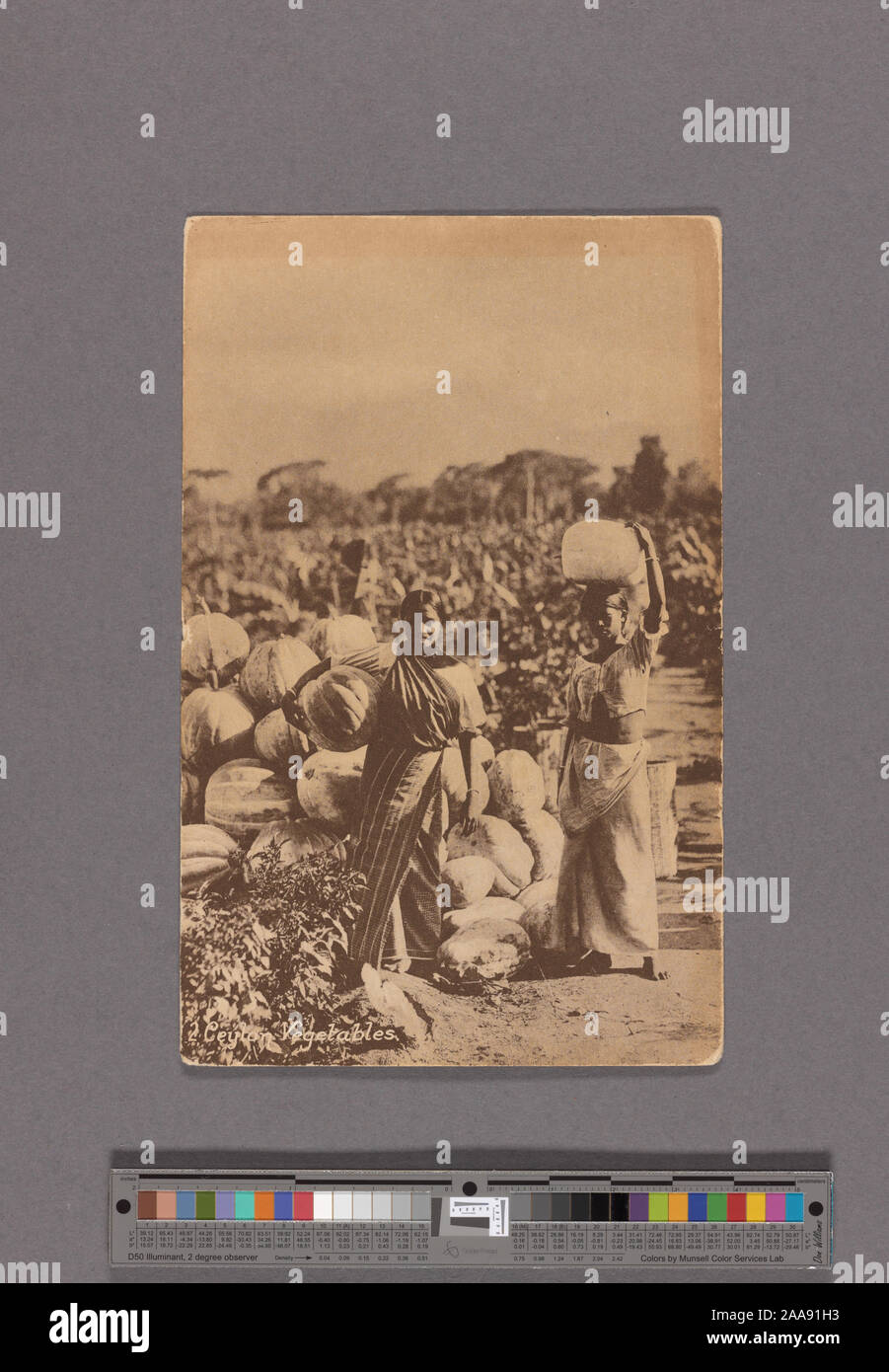 Ceylon vegetables.; Ceylon vegetables Stock Photo - Alamy