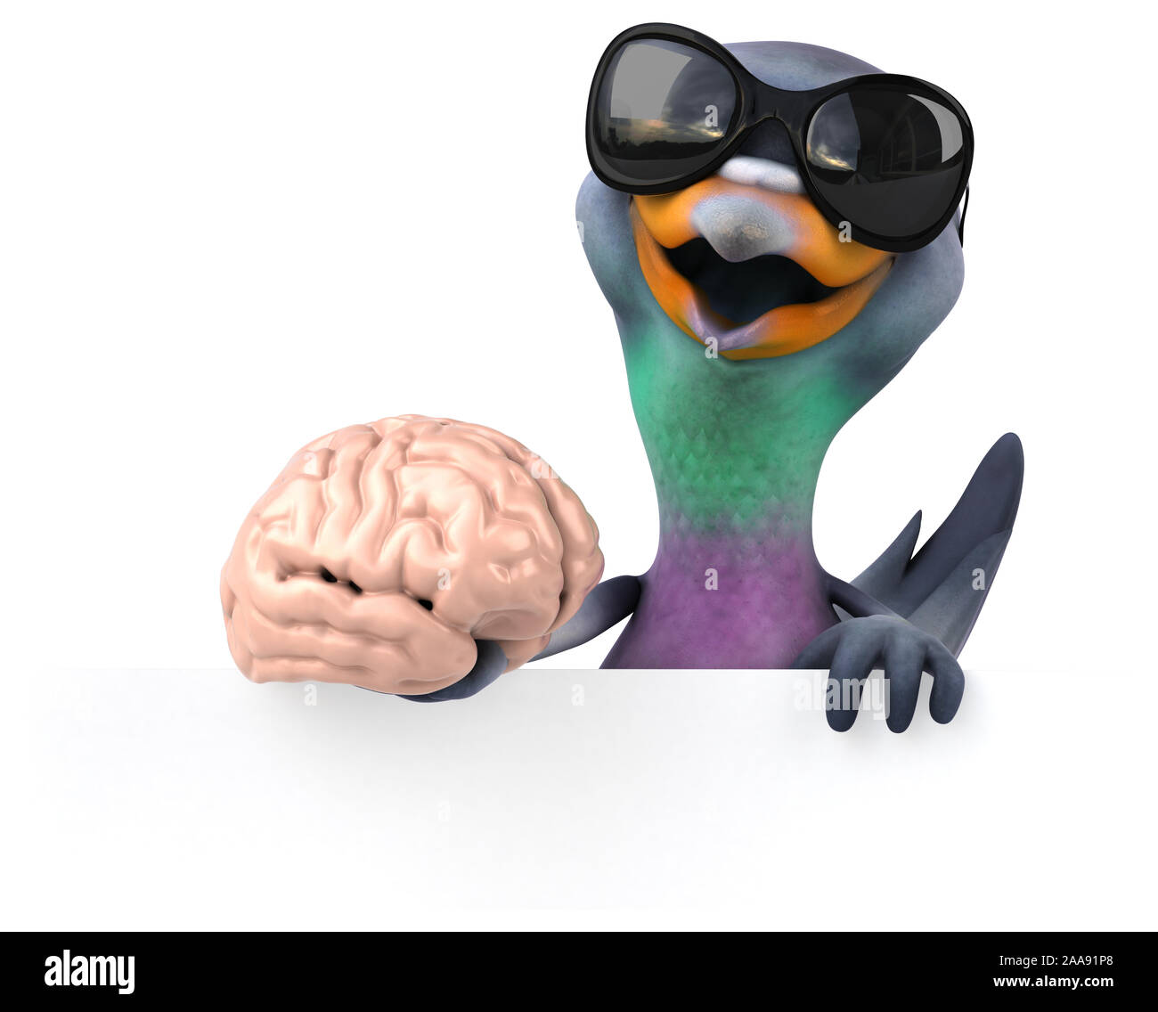 Pigeon brain hi-res stock photography and images - Alamy