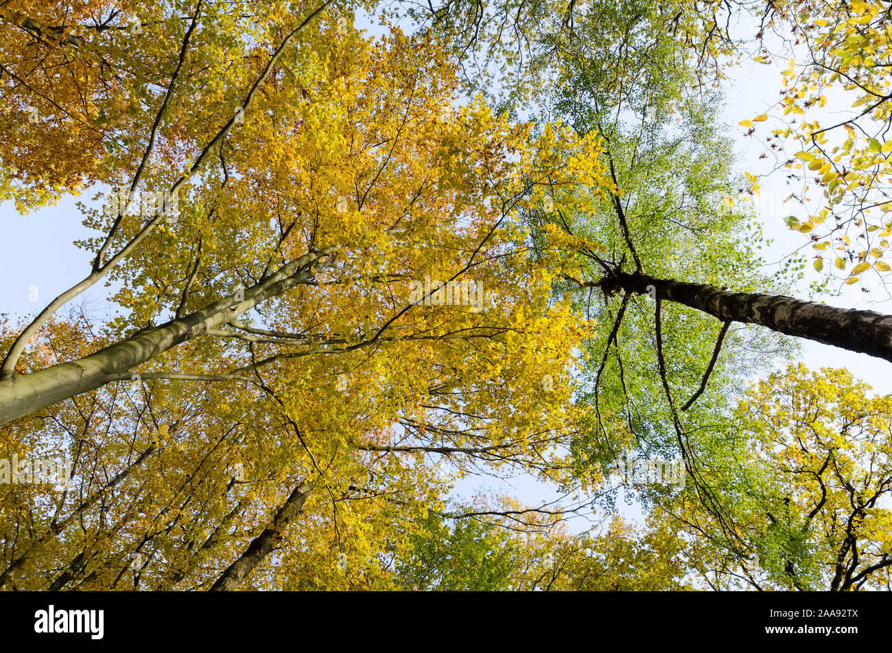 Autumn season colours in the countryside in Germany, Western Europe ...