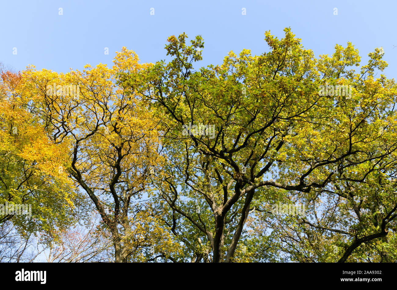 Autumn season colours in the countryside in Germany, Western Europe ...