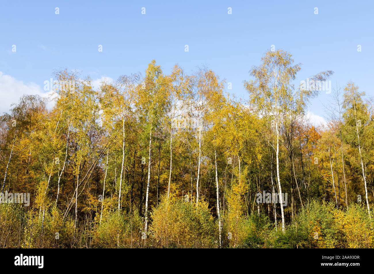 Autumn season colours in the countryside in Germany, Western Europe ...