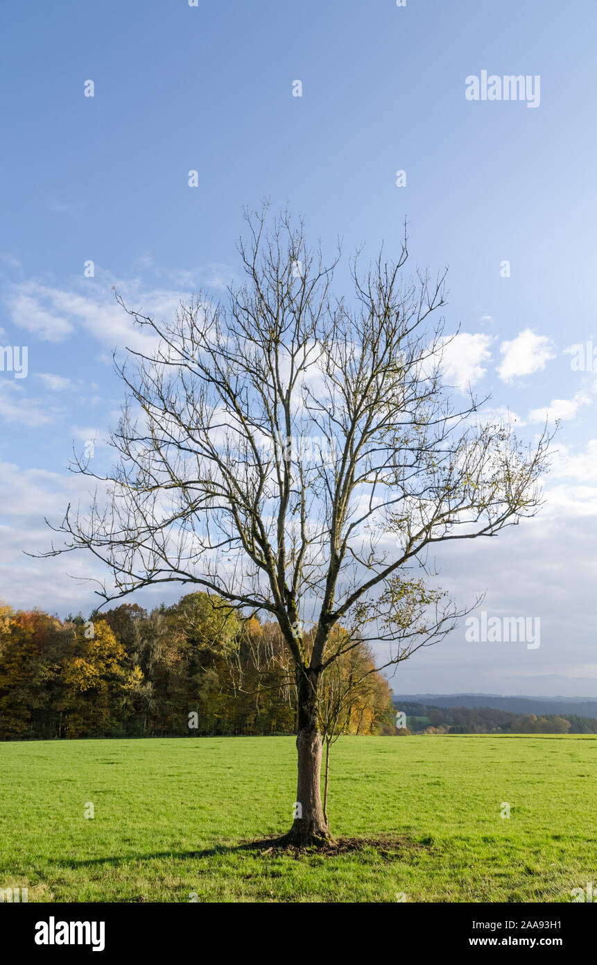 Autumn season colours in the countryside in Germany, Western Europe ...